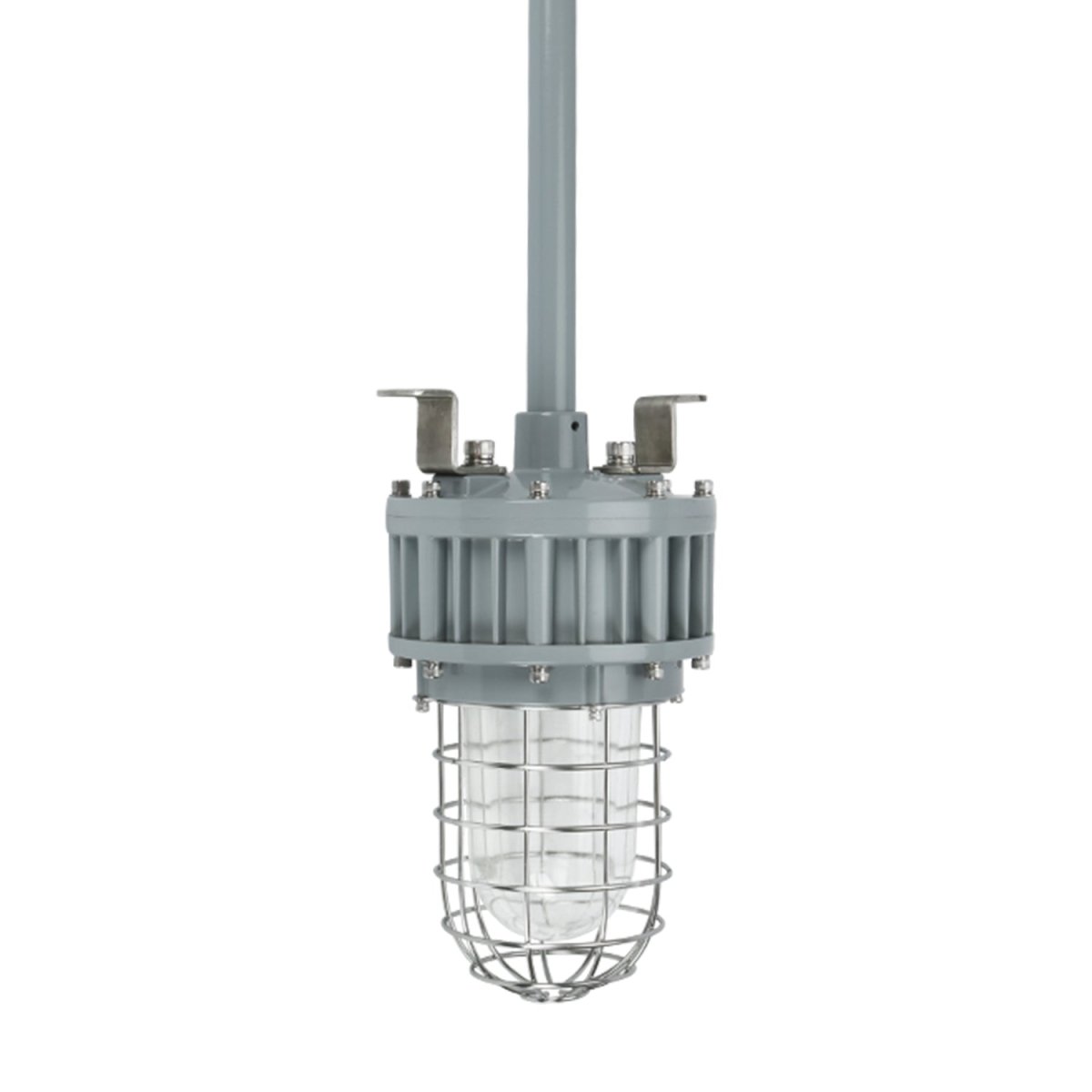 30 Watt LED Explosion Proof Jelly Jar Light, G Series, Dimmable, 5000K ...