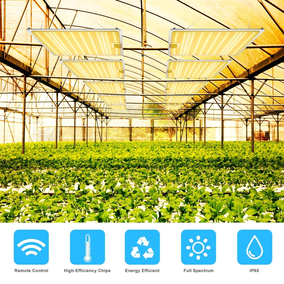 Full Spectrum LED Grow Light 2000W with UV/IR , Indoor Growing Lamp for ...