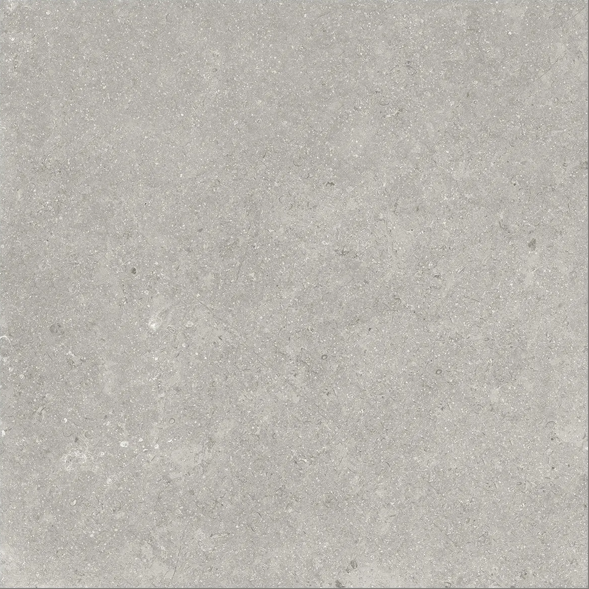 20 x 20 in Coliseo Graphite Matte Pressed Glazed Porcelain Tile ...