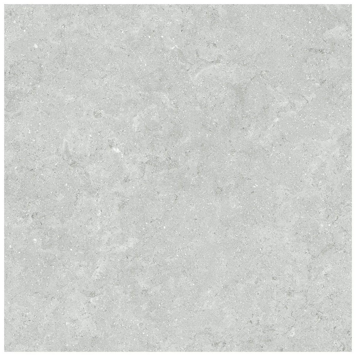 20 x 20 in Coliseo Platinum Matte Pressed Glazed Porcelain Tile ...